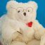 Some of the best philosophers are bears: Introducing Mawson Bear ...